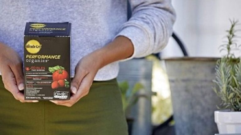 8 Best Fertilizers for Vegetable Garden - How To Use Them