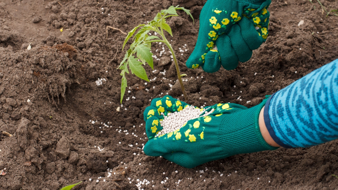What are Fertilizer Numbers - How to Understand Them