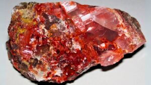 What is Potash Fertilizer? - Everything You Need to Know