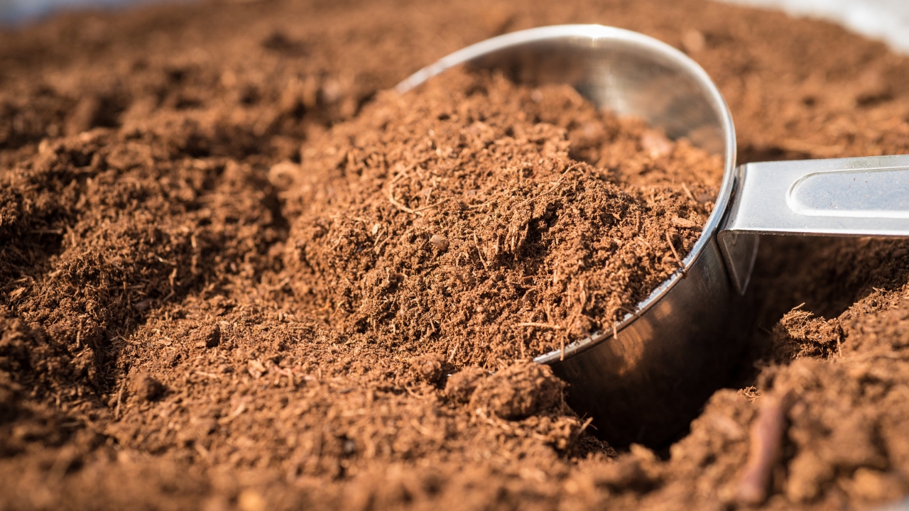 When To Apply Step 3 Lawn Fertilizer? - Complete Guide