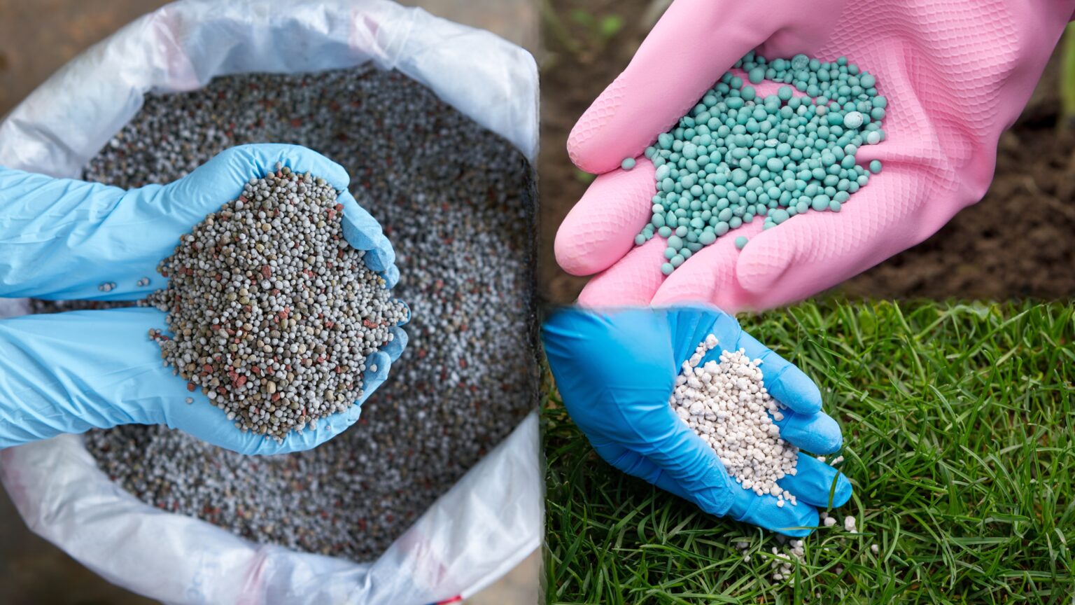 What are Fertilizer Numbers - How to Understand Them
