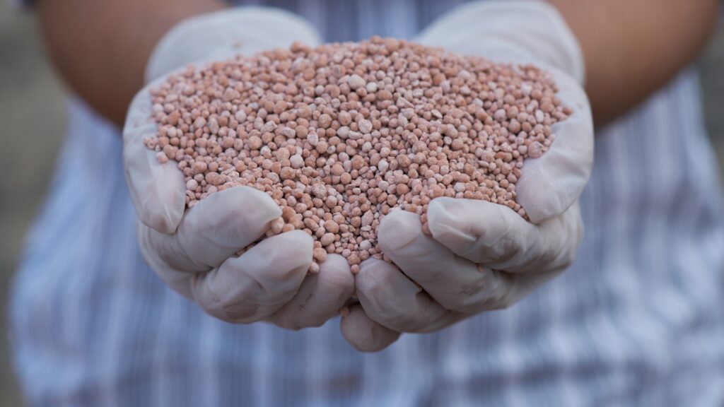 What is Potash Fertilizer? - Everything You Need to Know