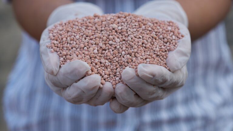 What is Potash Fertilizer? - Everything You Need to Know