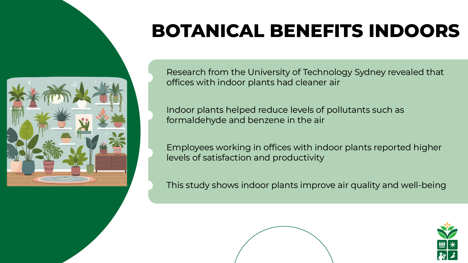 10 Best Indoor Plants for Oxygen in Your Home