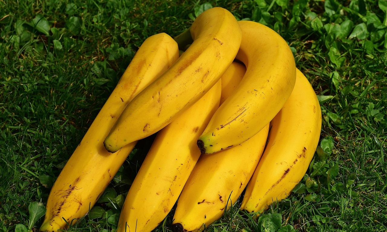 10 Best Fruits That Help With Weight Loss
