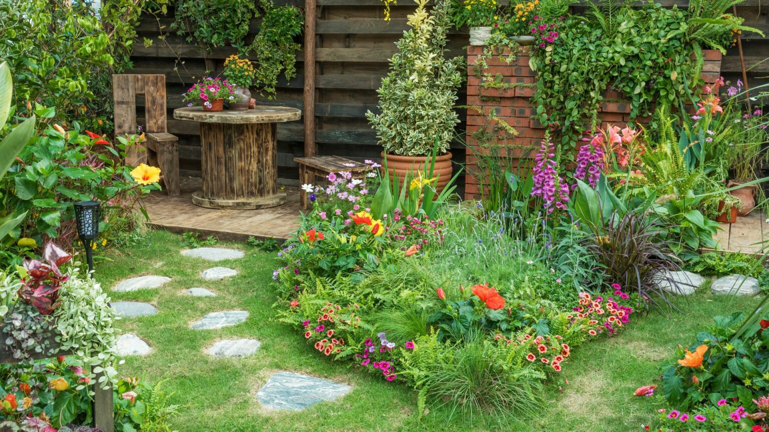 7 Best Plants for Small Garden to Maximize Your Space