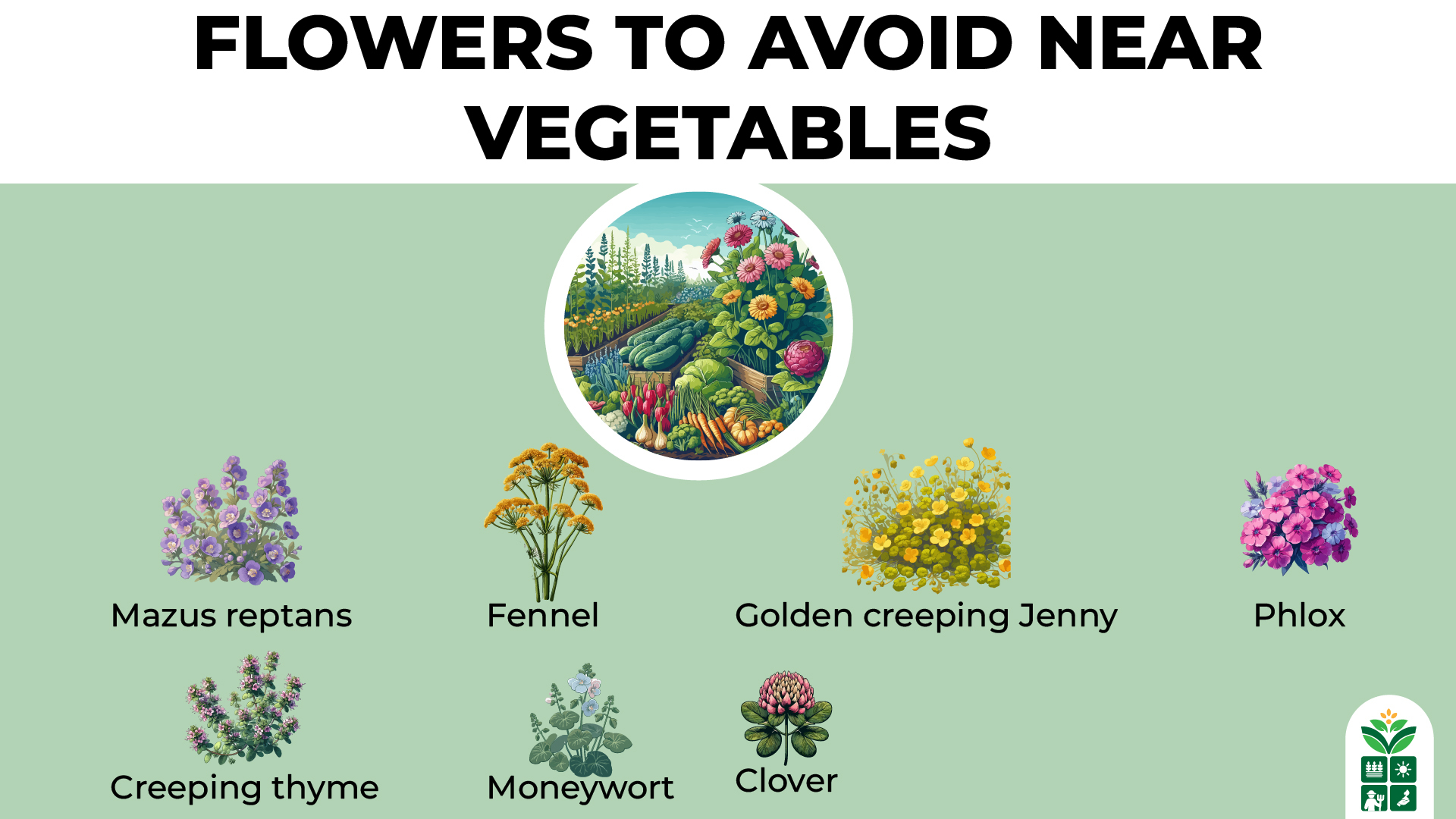 9 Best Flowers for Vegetable Garden to Enhance Your Greens