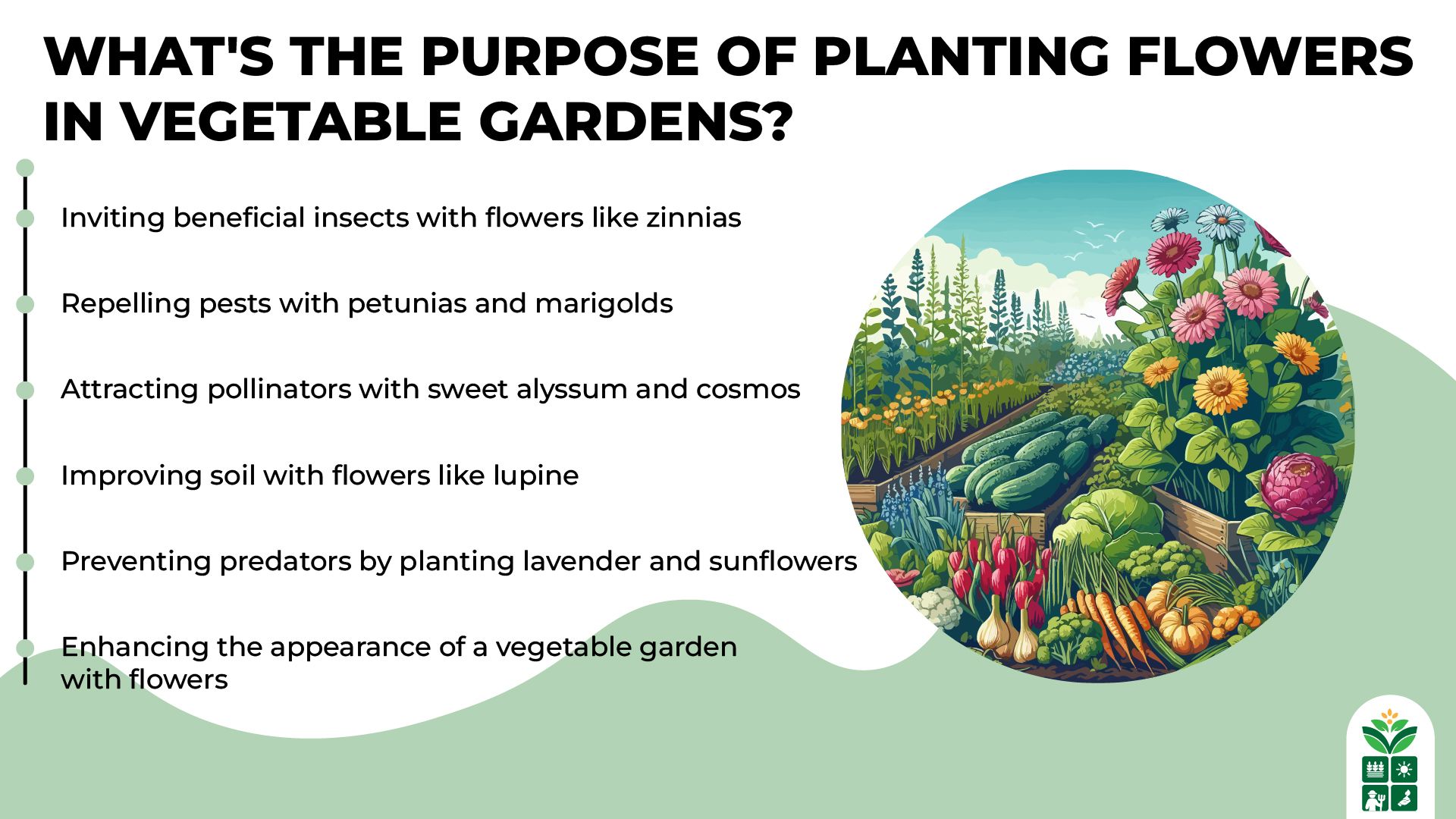 9 Best Flowers for Vegetable Garden to Enhance Your Greens