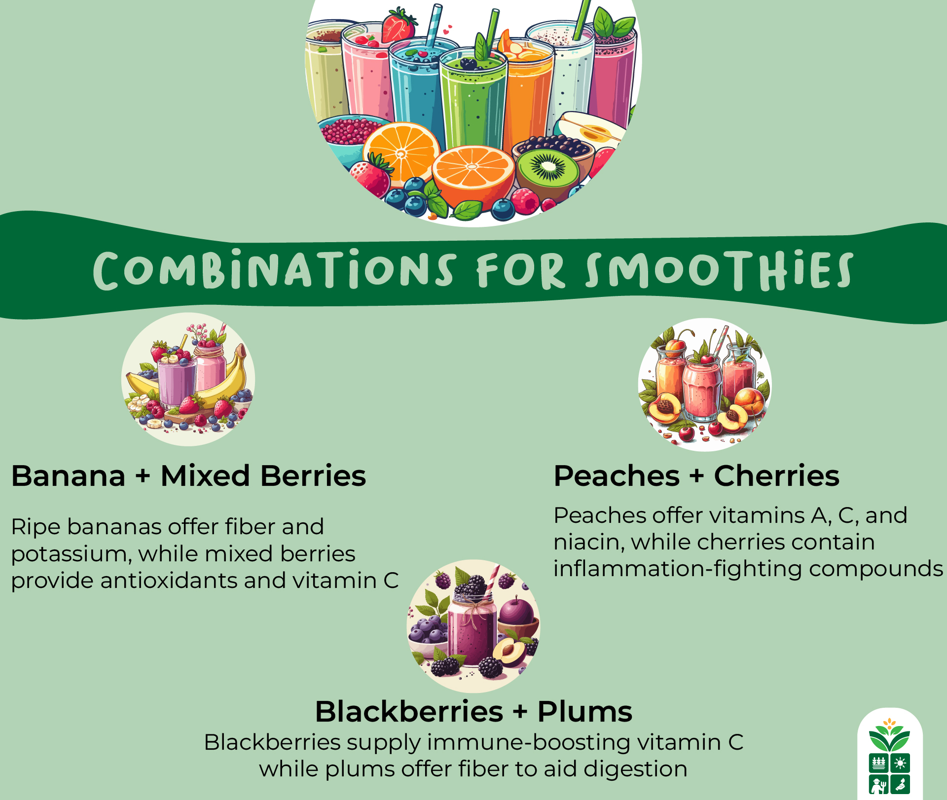 9 Best Fruits For Delicious Smoothies