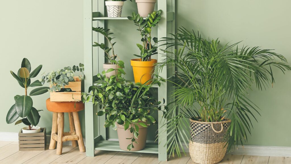 7 Best Indoor Plants for Dark Room