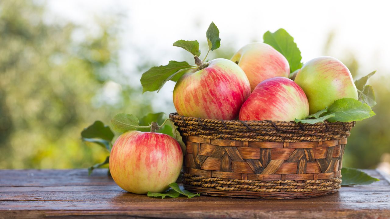 7 Best Fruits for Runners to Boost Speed and Stamina