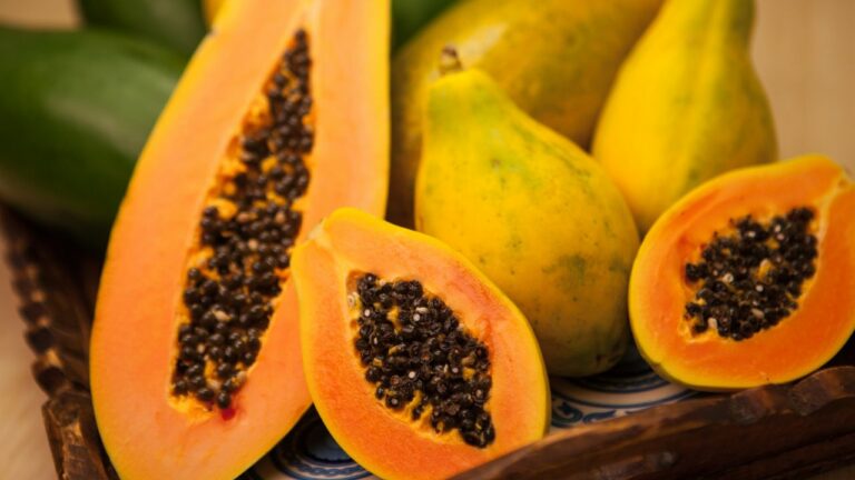 9 Best Fruits for Stomach That Aid in Digestion