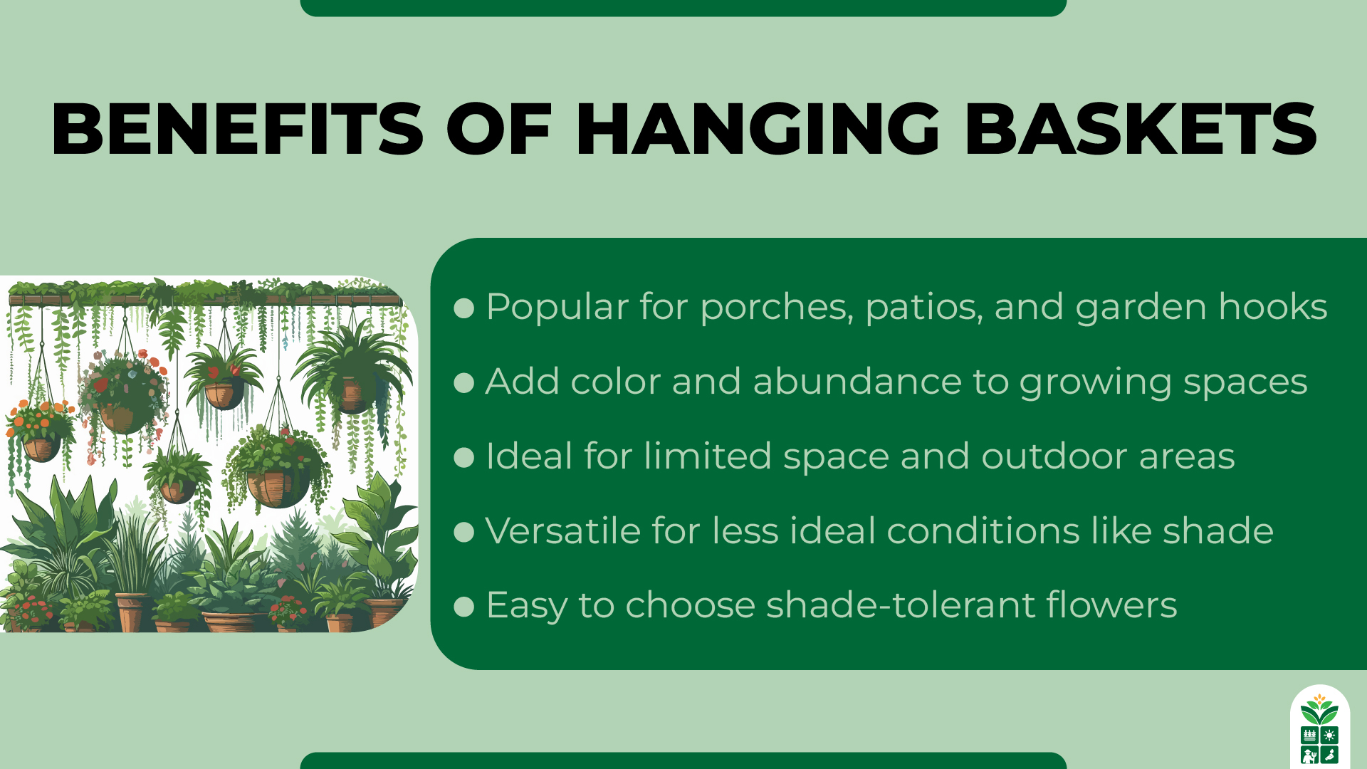 9 Best Plants for Hanging Baskets in Shade