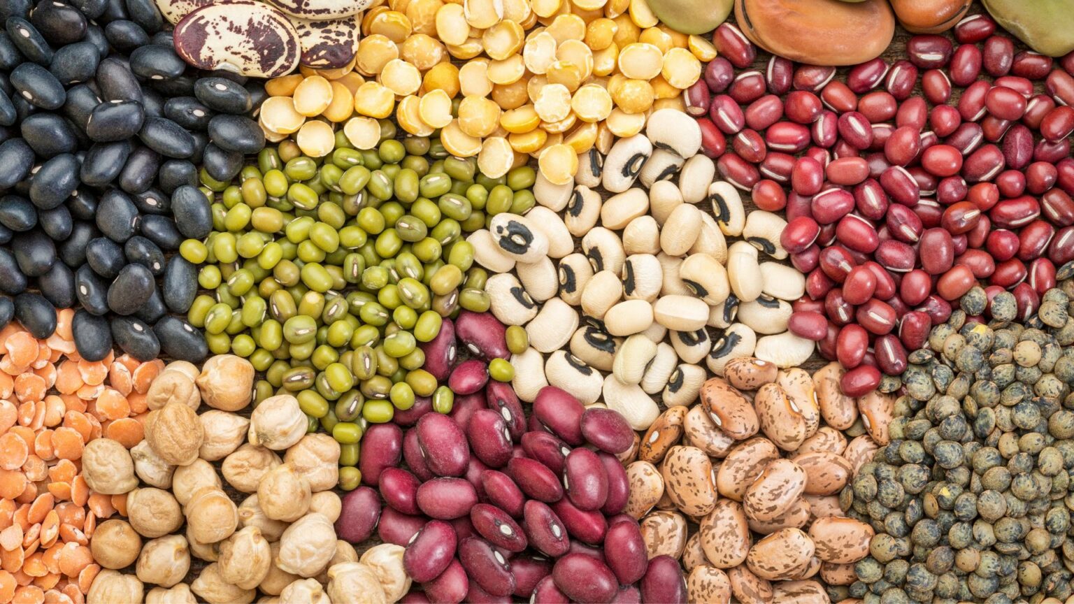10 Best Beans and Legumes for Cognitive Functions