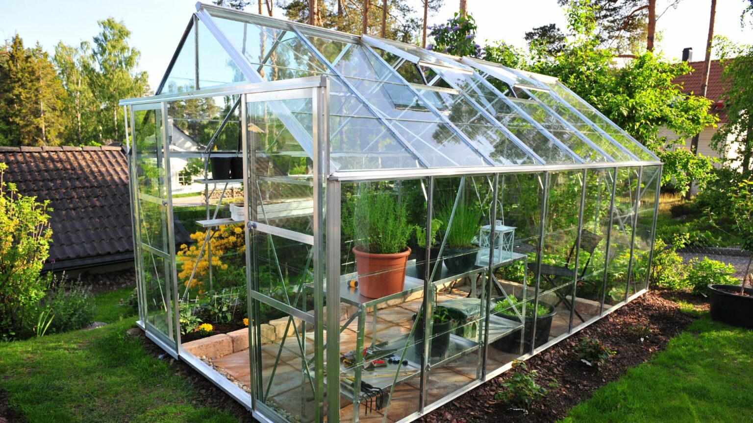 7 Best Greenhouse Plants for Year-Round Growth