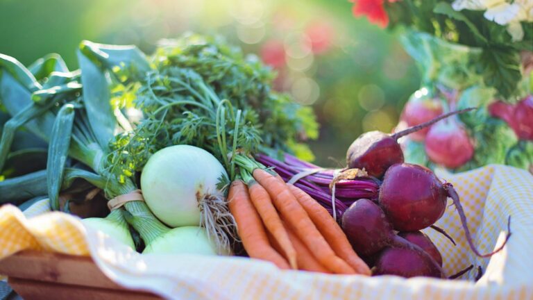 8 Best Vegetables to Improve Your Digestion