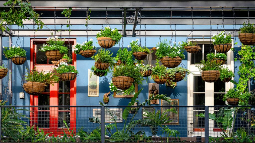 10 Best Plants to Hang Outside for a Gorgeous Garden