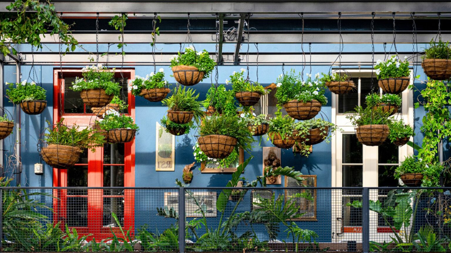 10 Best Plants to Hang Outside for a Gorgeous Garden