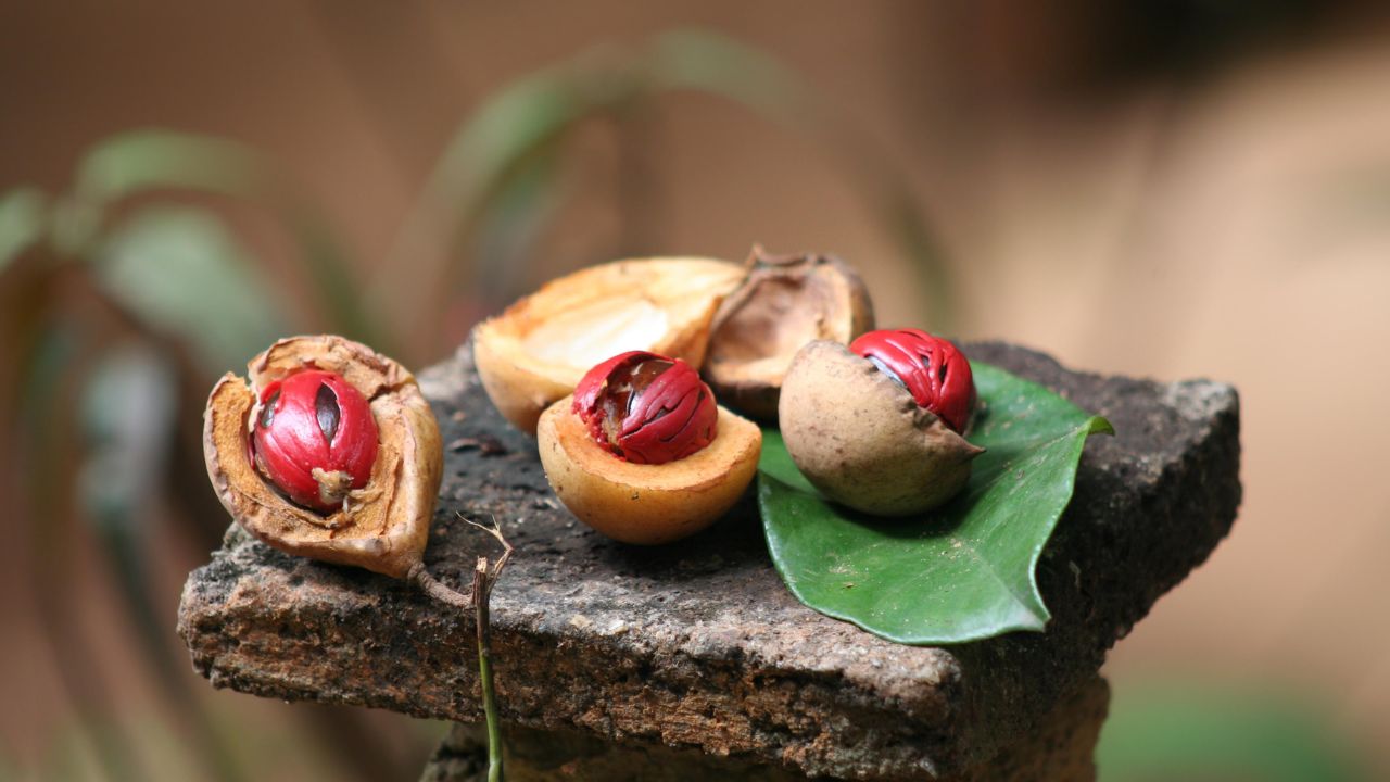 9 Spices That Improve Cognitive Brain Performance Naturally