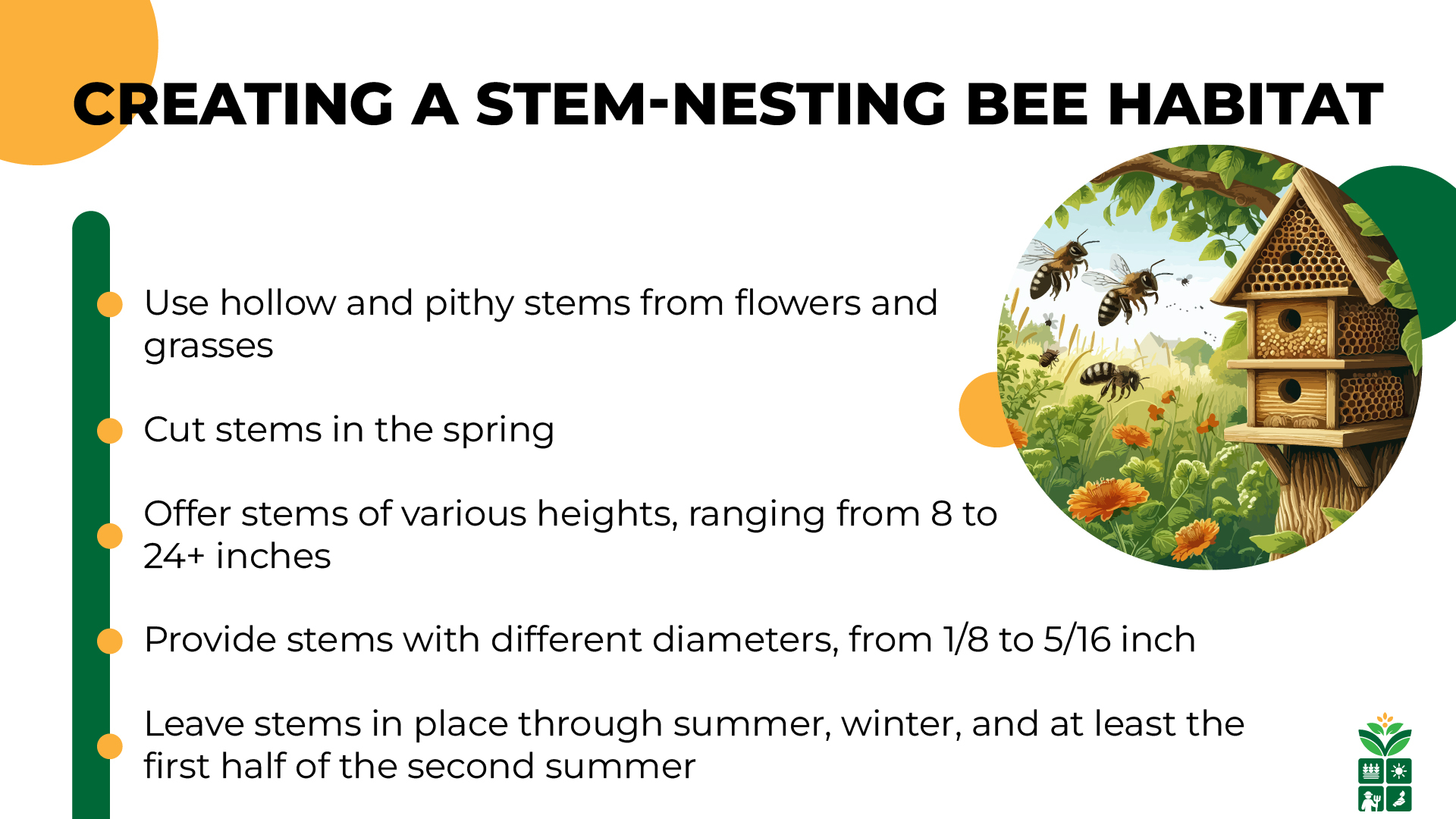 8 Best Perennials for Bees