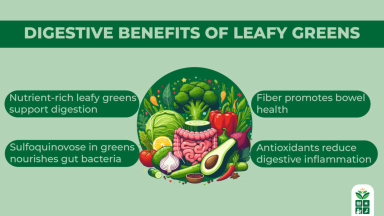 8 Best Vegetables to Improve Your Digestion