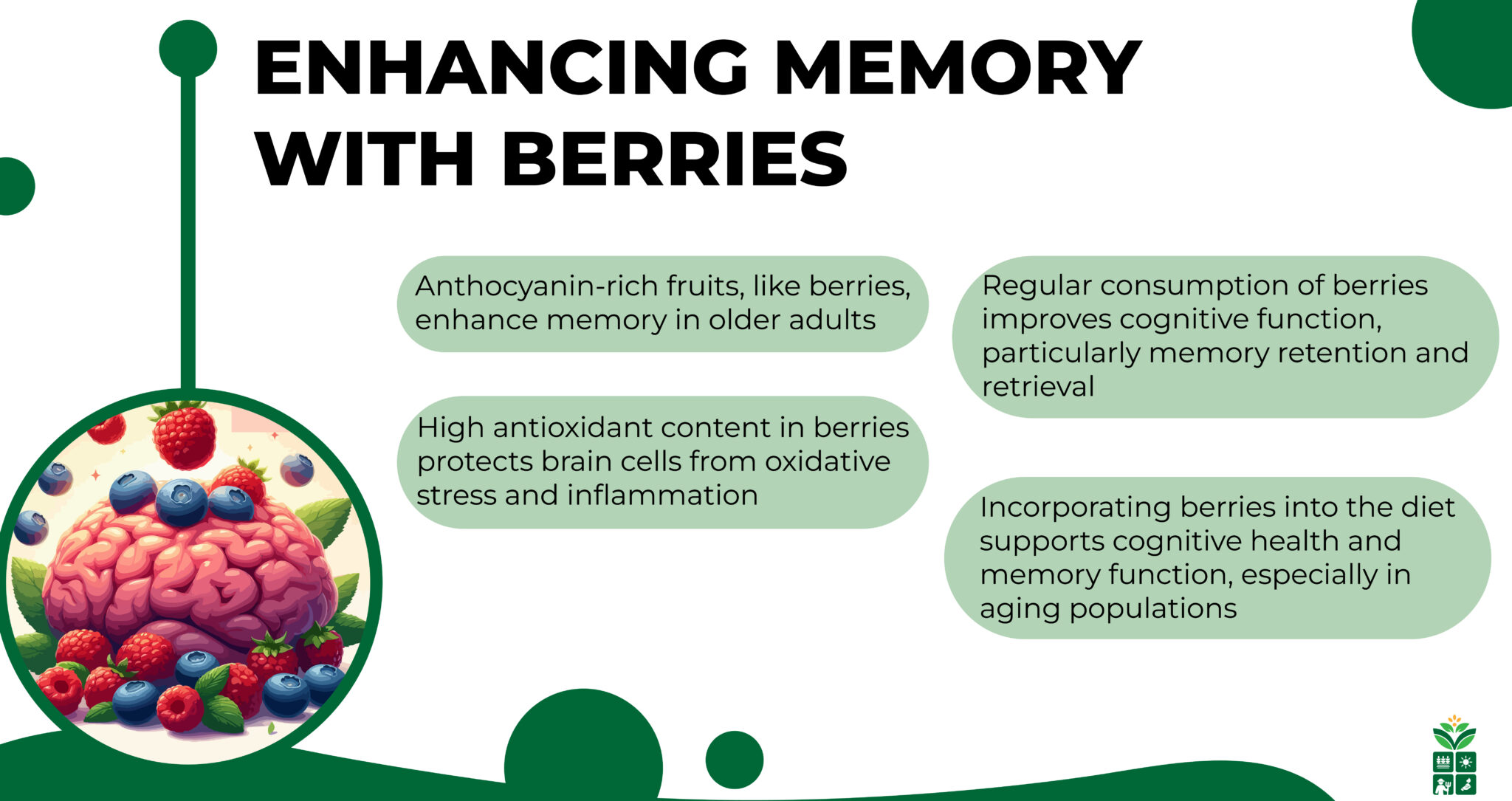 7 Fruits That Are Good for Memory & Boost Your Brain Health