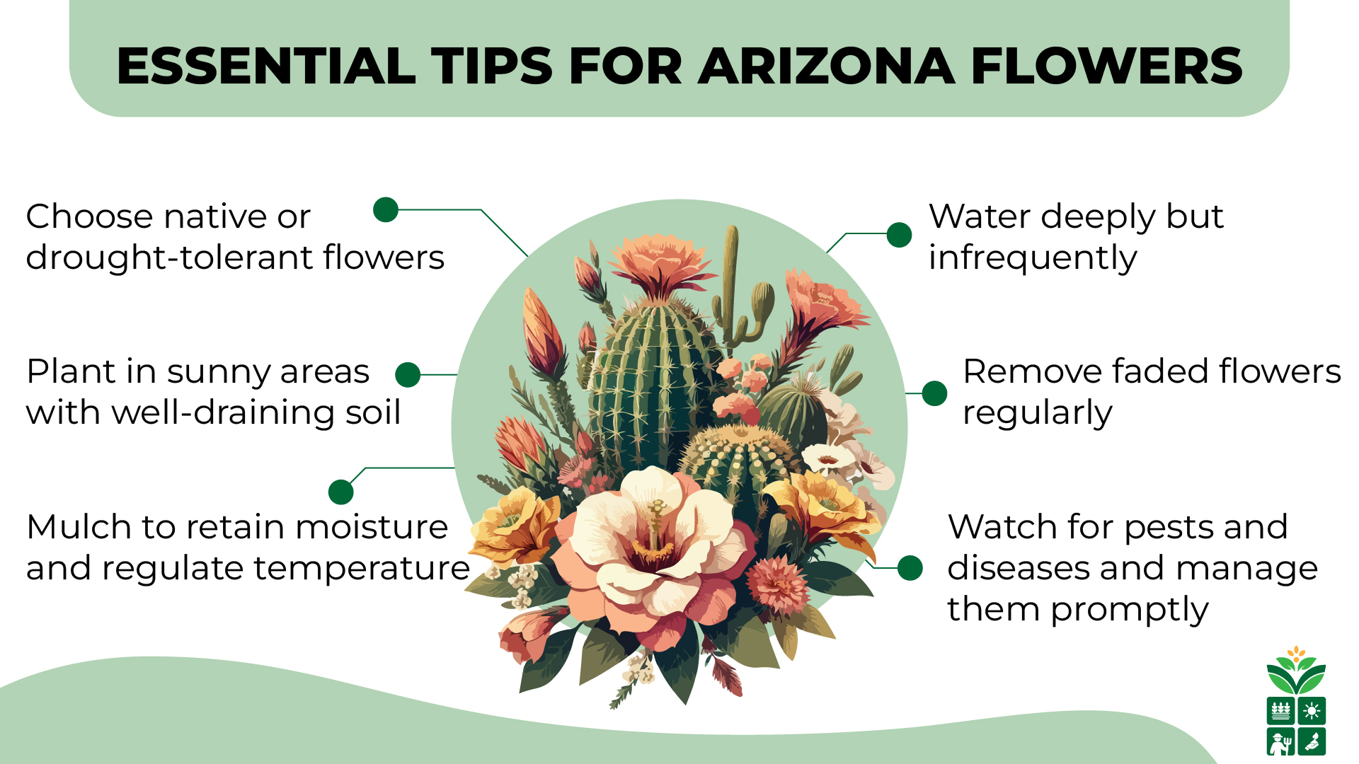 8 Best Flowers to Plant in Arizona