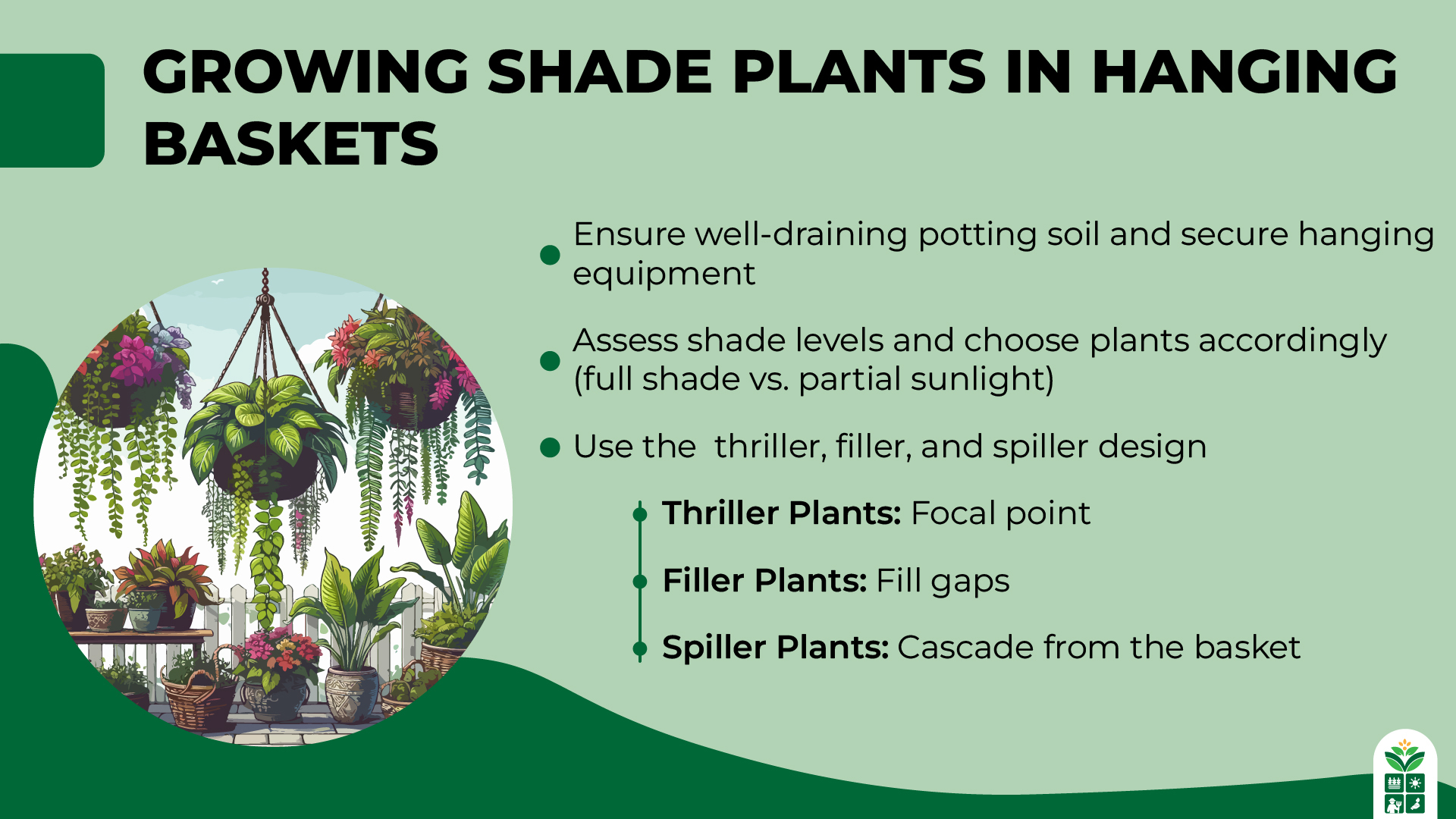 9 Best Plants for Hanging Baskets in Shade