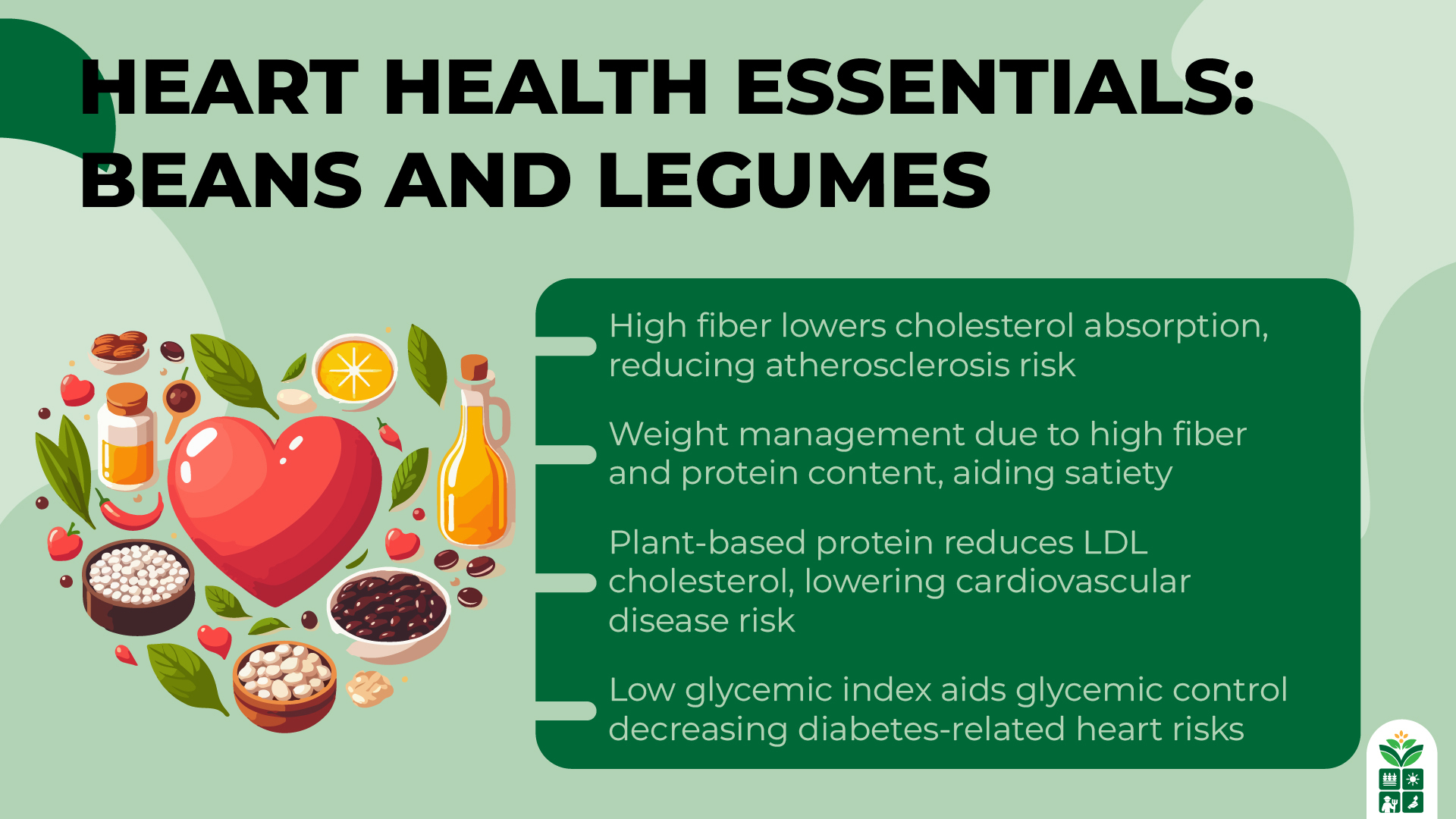 10 Best Beans and Legumes for Cognitive Functions