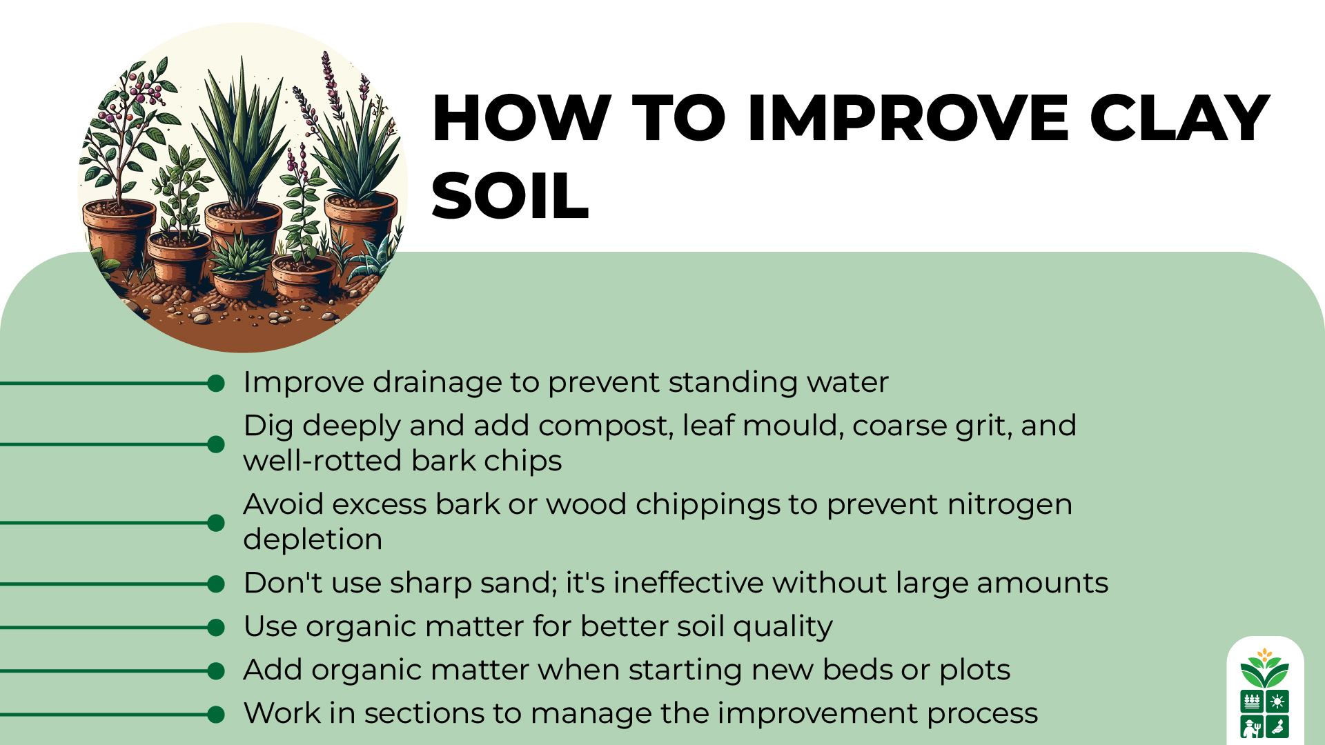 7 Best Perennials for Clay Soil