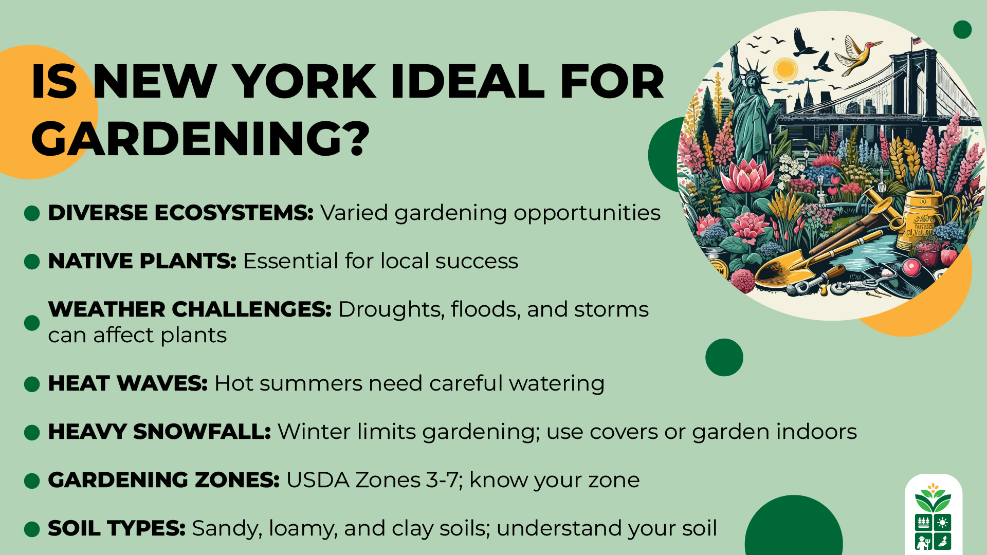 9 Best Perennials for New York