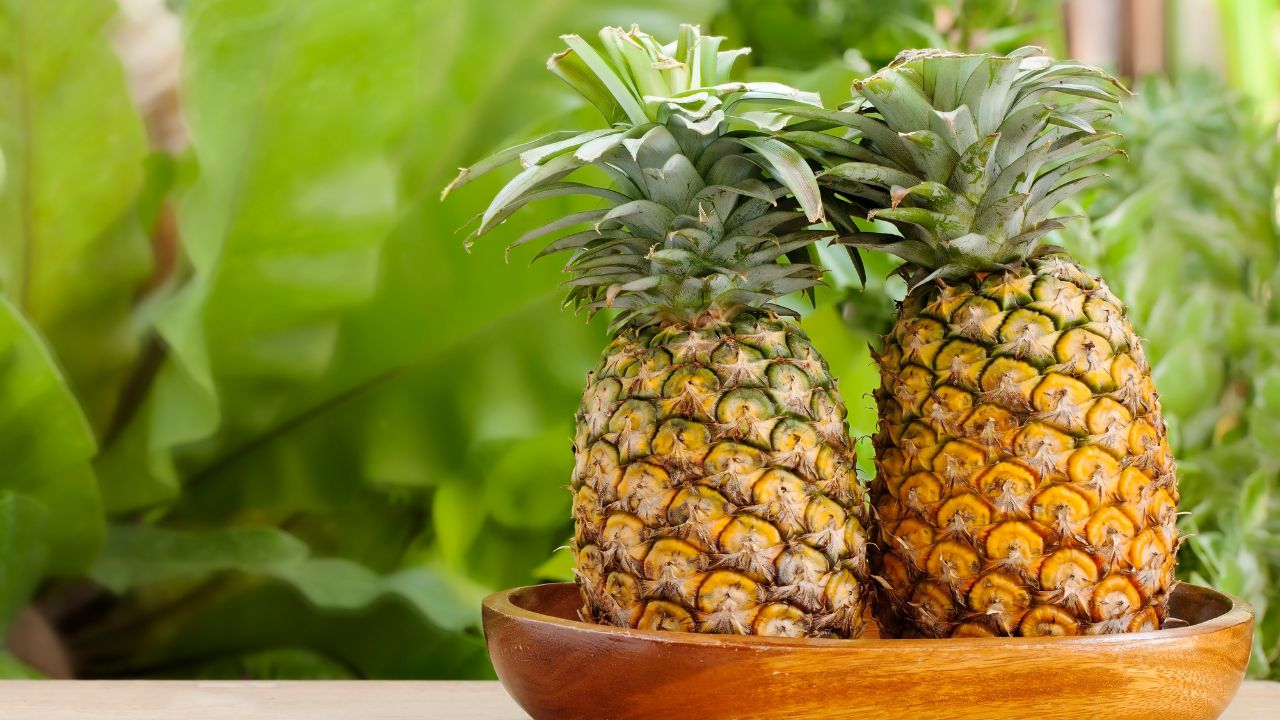 10 Best Fruits for Sleep That Improve Your Sleep Quality