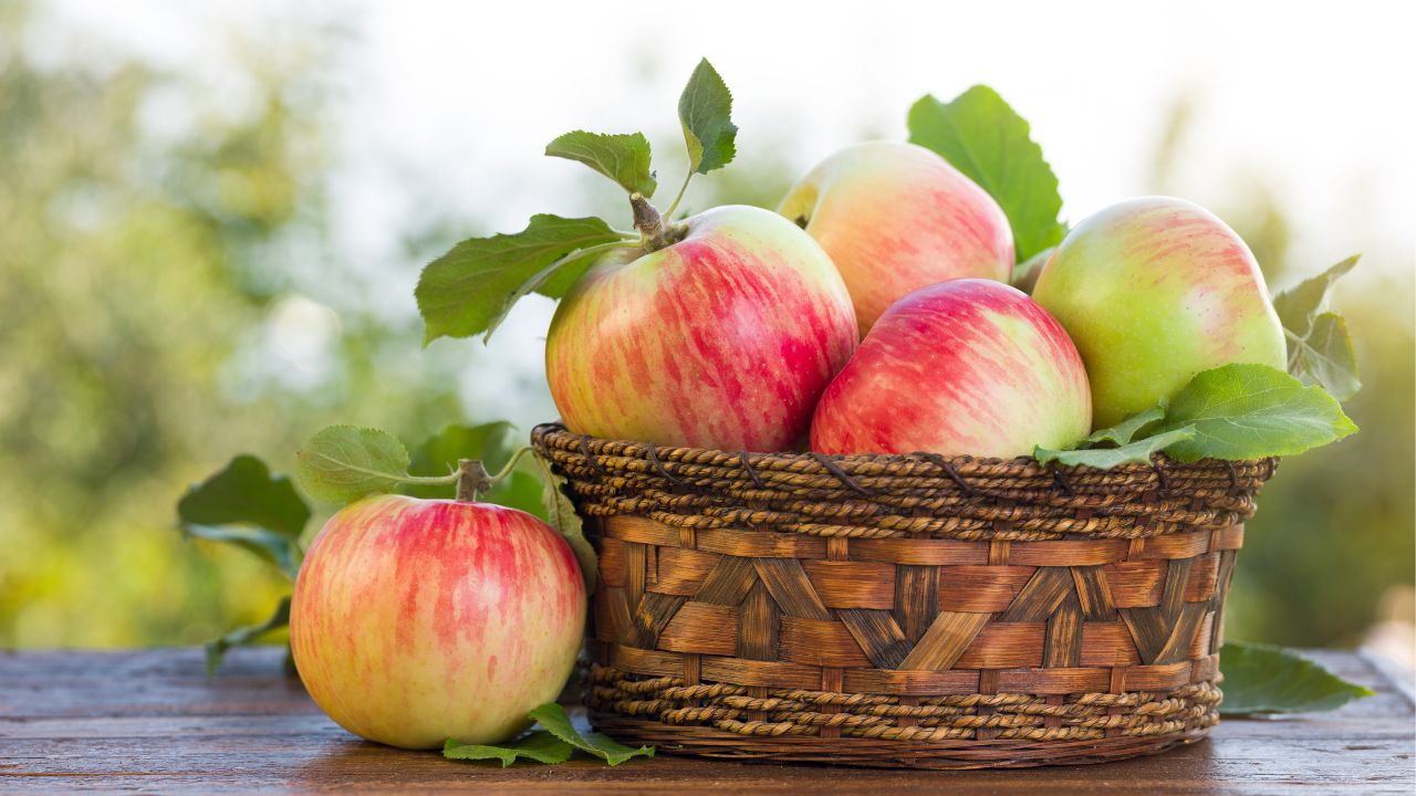 10 Best Fruits for Sleep That Improve Your Sleep Quality