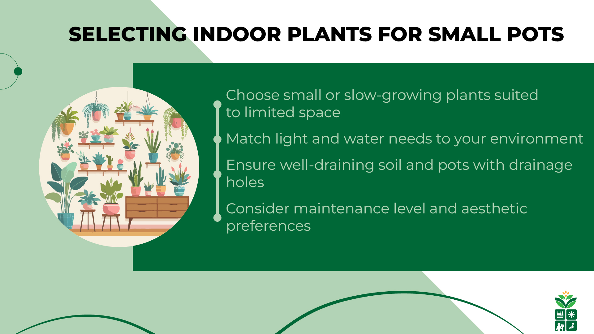 9 Indoor Plants for Small Pots