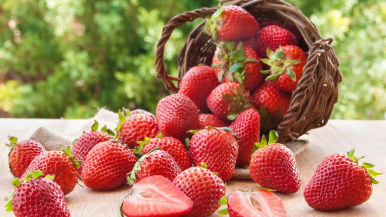 7 Fruits That Are Good for Memory & Boost Your Brain Health