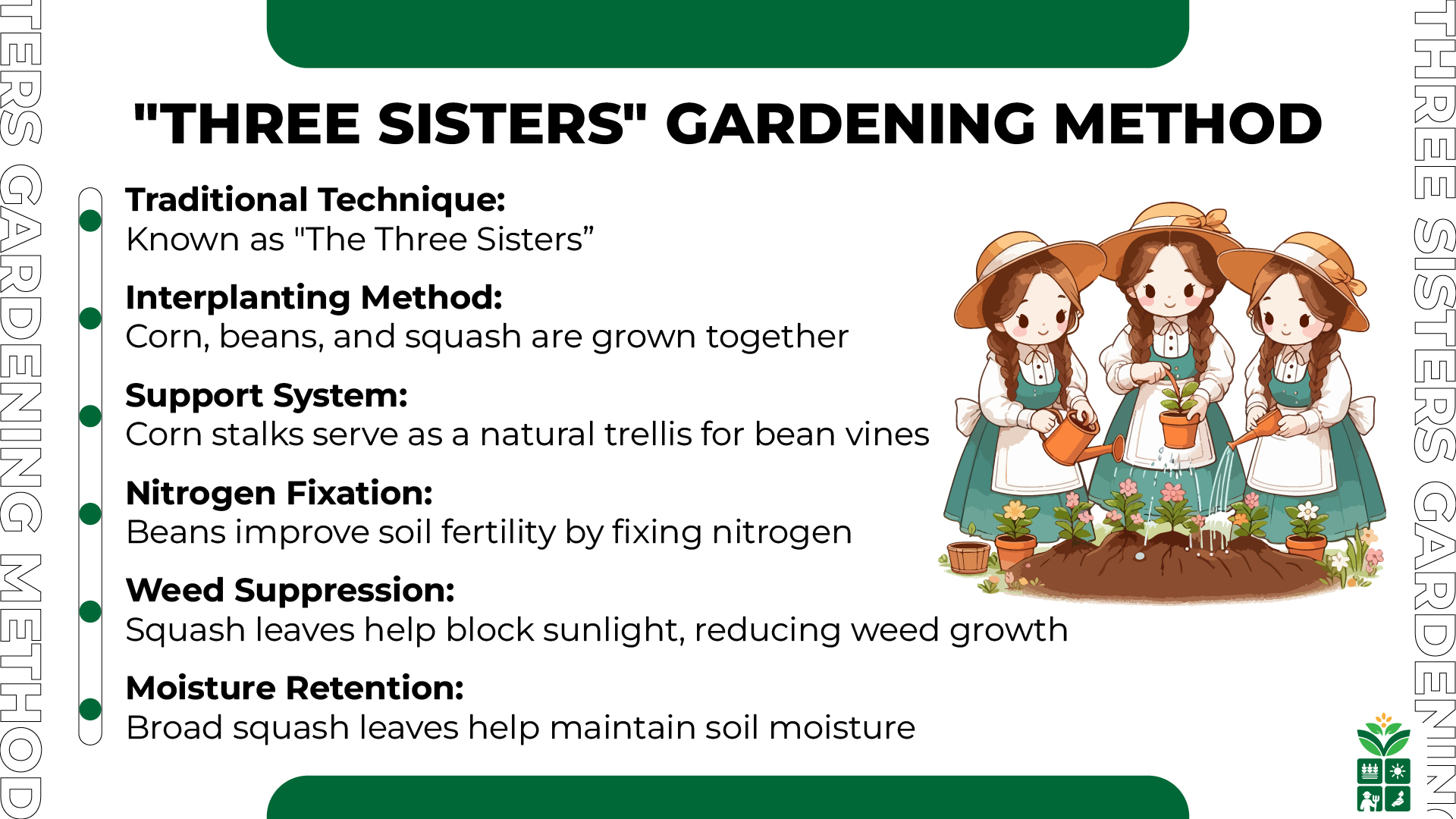 9 Best Perennials for Tennessee That Thrive All Year