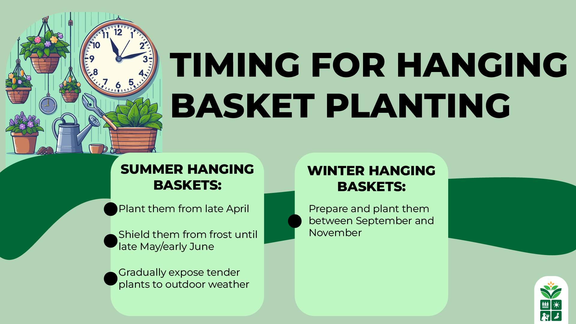 9 Best Perennials for Hanging Baskets