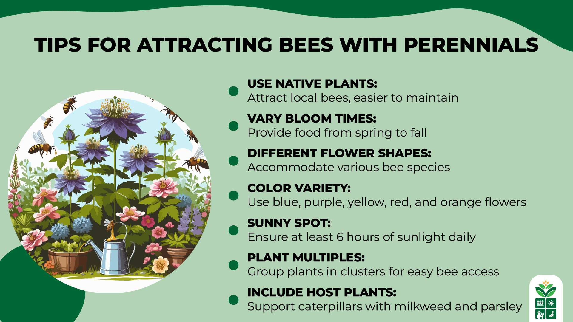 8 Best Perennials for Bees