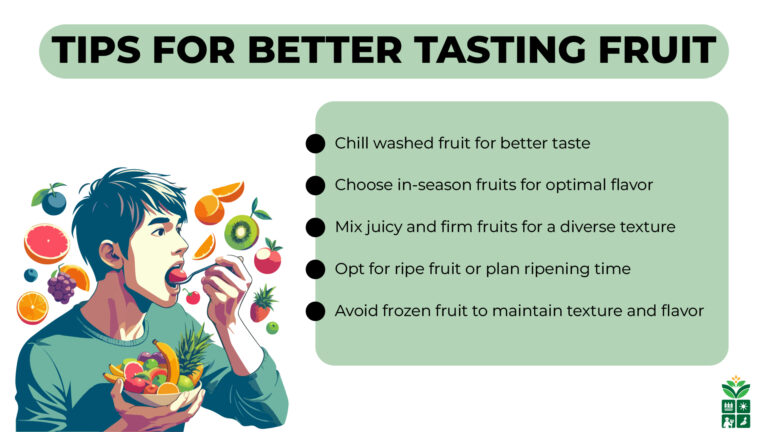 9 Best Fruits for Fruit Salad to Enhance Health and Taste