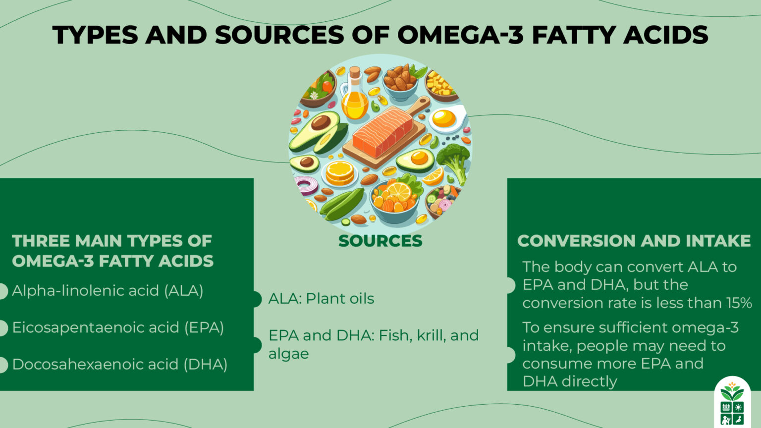 Top 10 Plant-Based Omega-3 Sources for Vegetarians