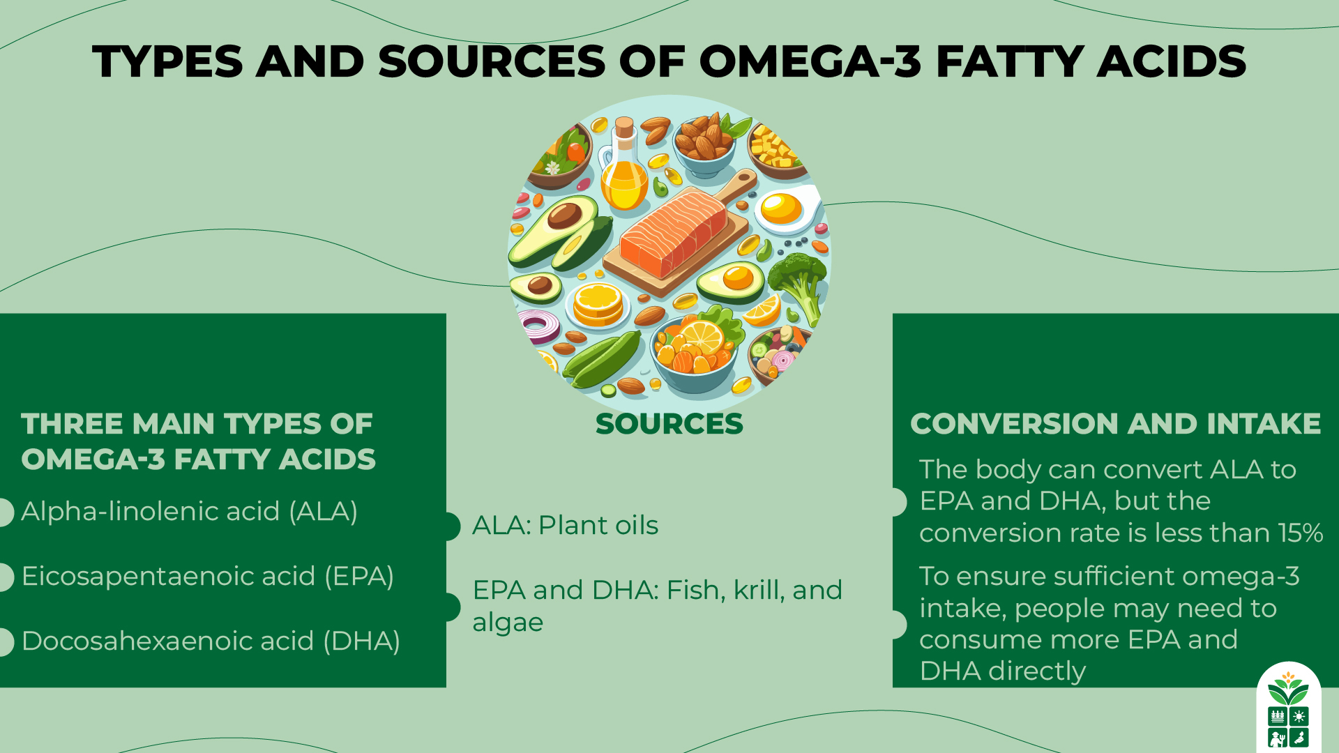 Top 10 Plant-Based Omega-3 Sources for Vegetarians