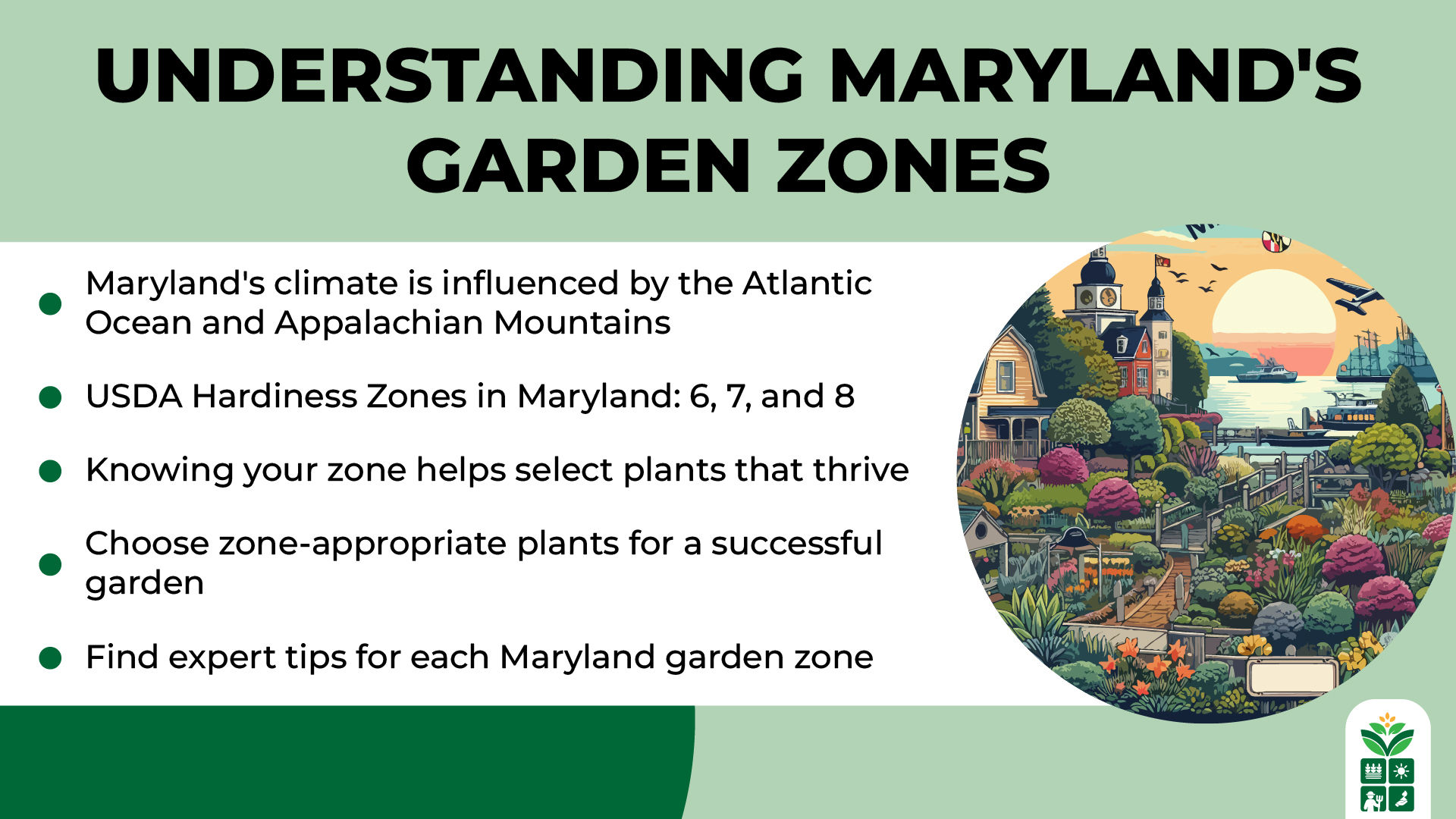 9 Best Perennials for Maryland for Year-Round Color