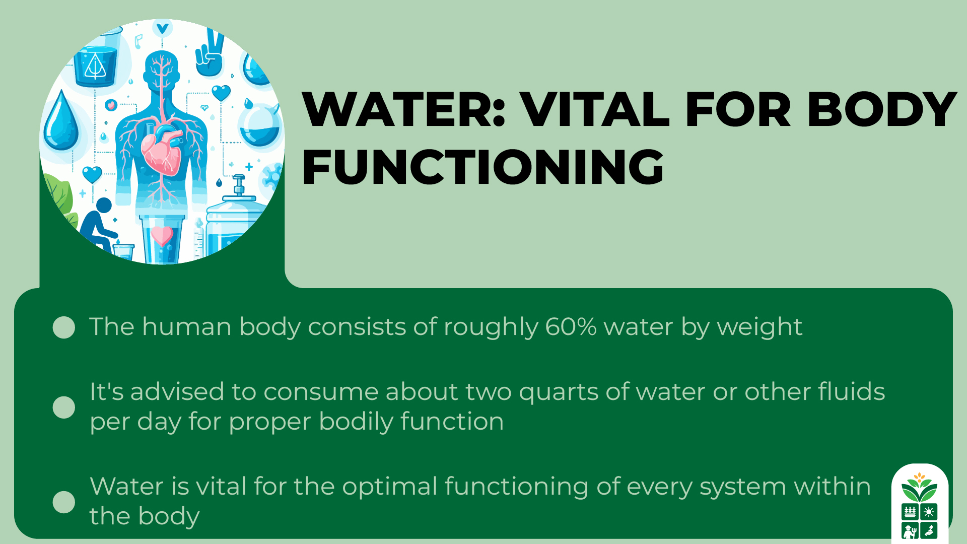 9 Best Fruits for Water With Maximum Hydration