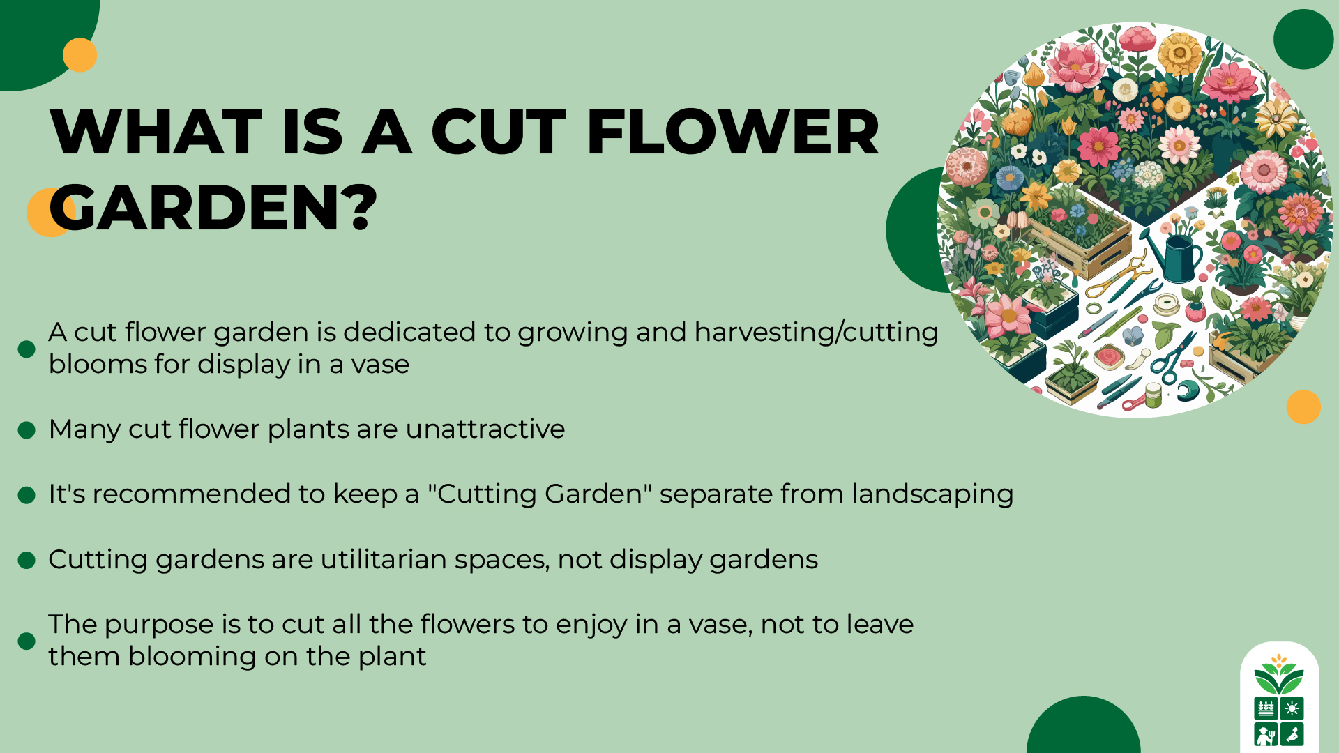 10 Plants That Are Perfect For a Cut Flower Garden