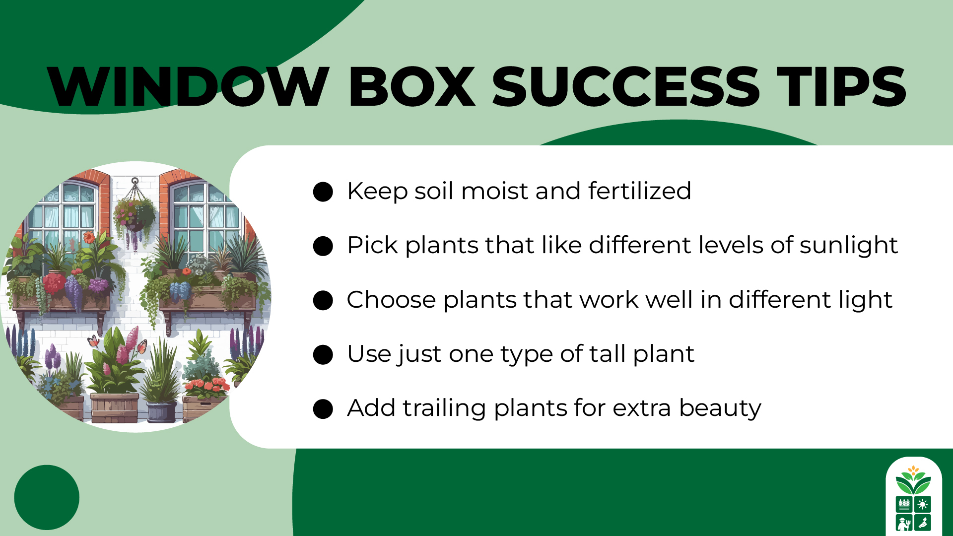 10 Best Plants for Window Boxes