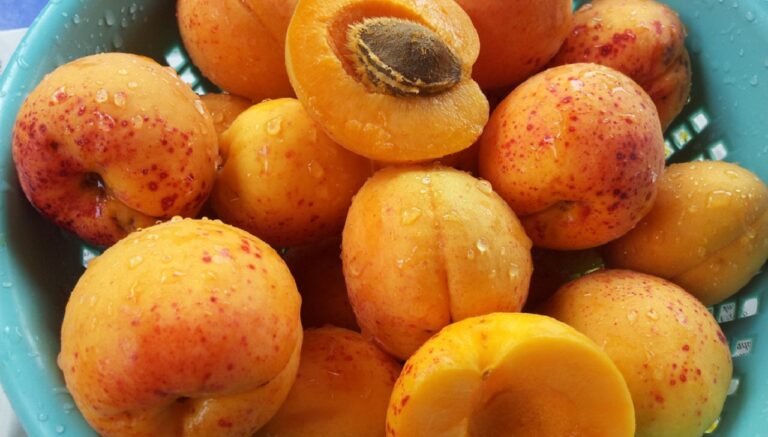 9 Fruits That are Highest in Calcium