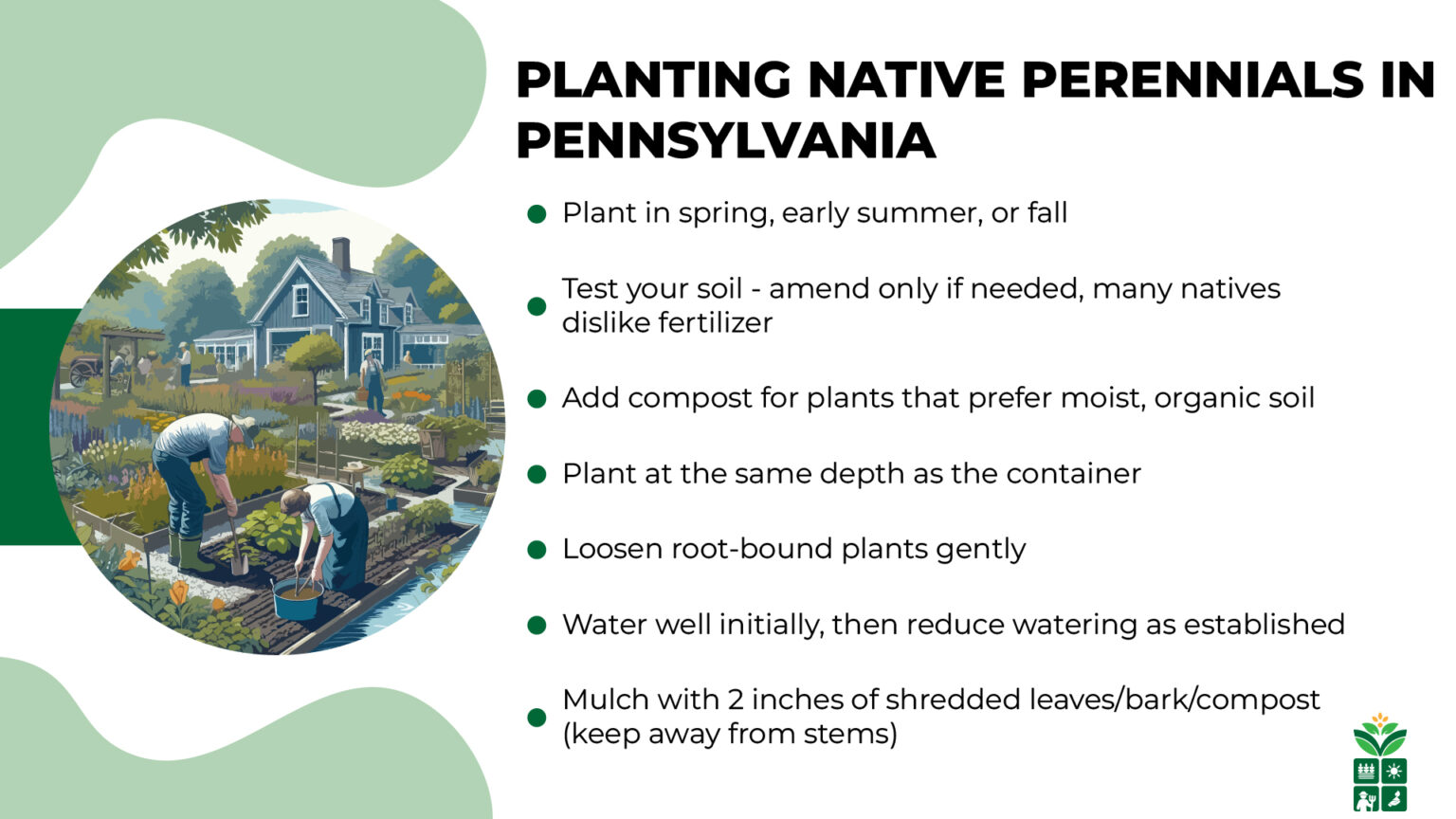 7 Best Perennials for Pennsylvania