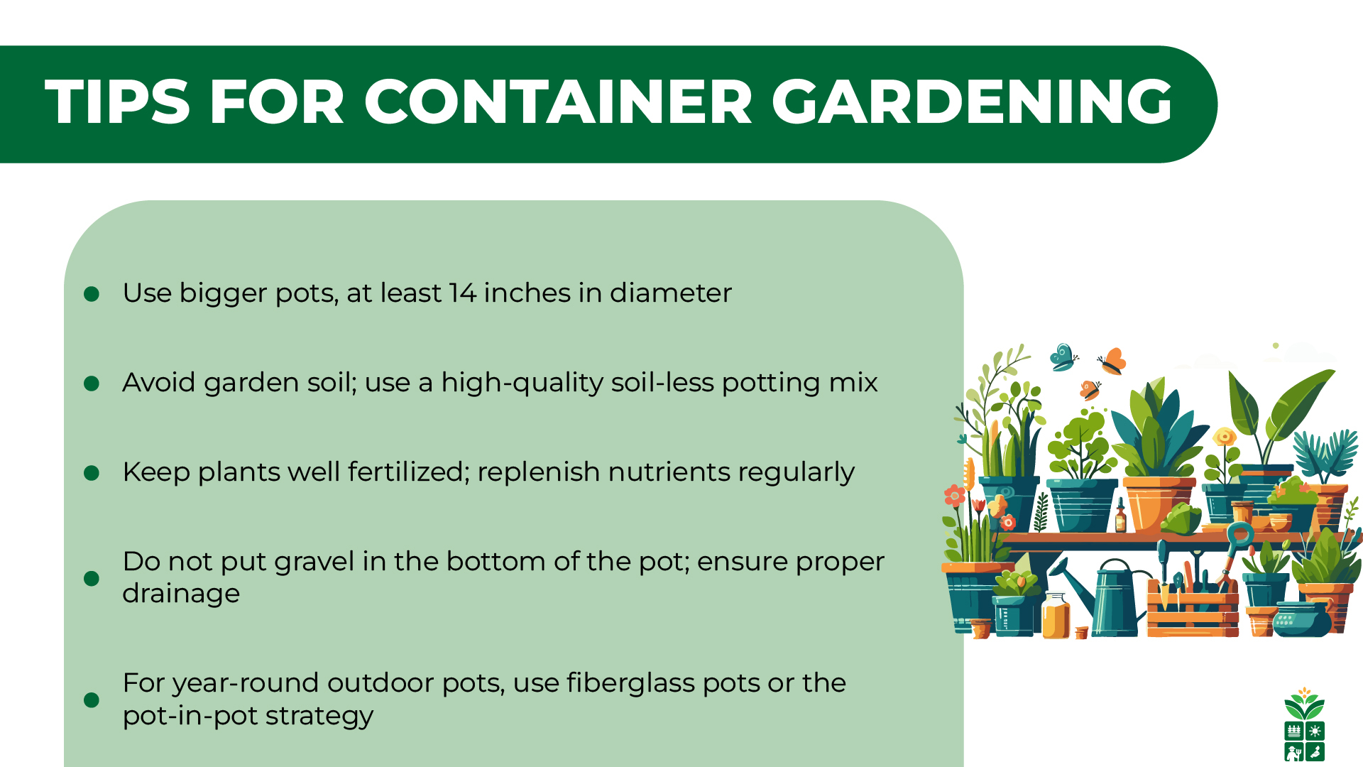 10 Best Perennials for Containers