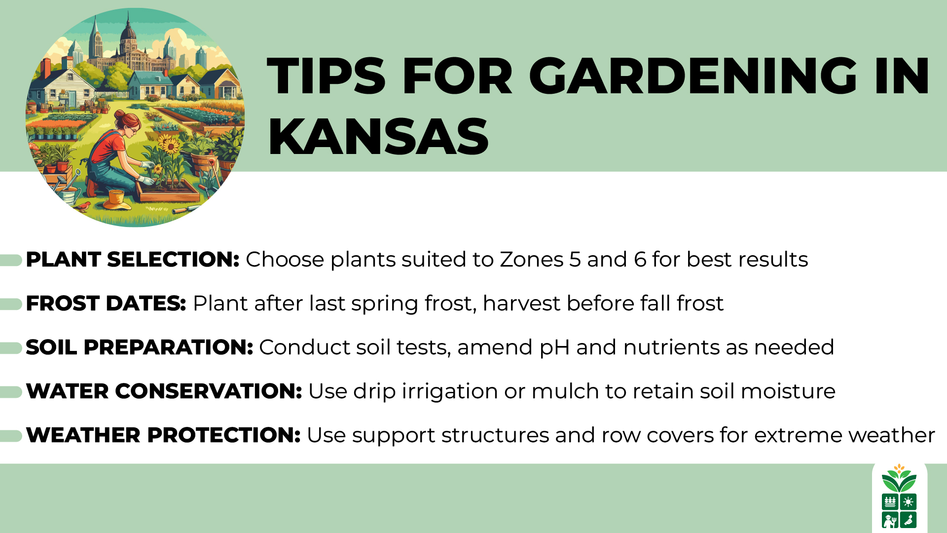 9 Best Perennials for Kansas