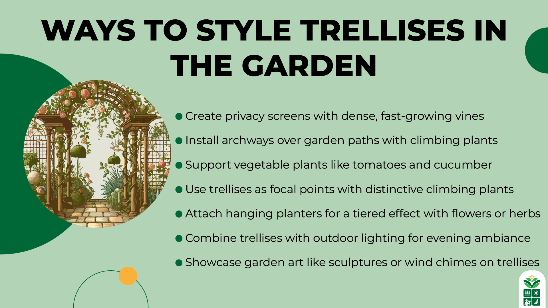 8 Best Climbing Plants for Trellises